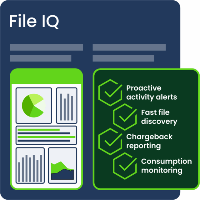 Data Intelligence for Enterprises: Nasuni IQ